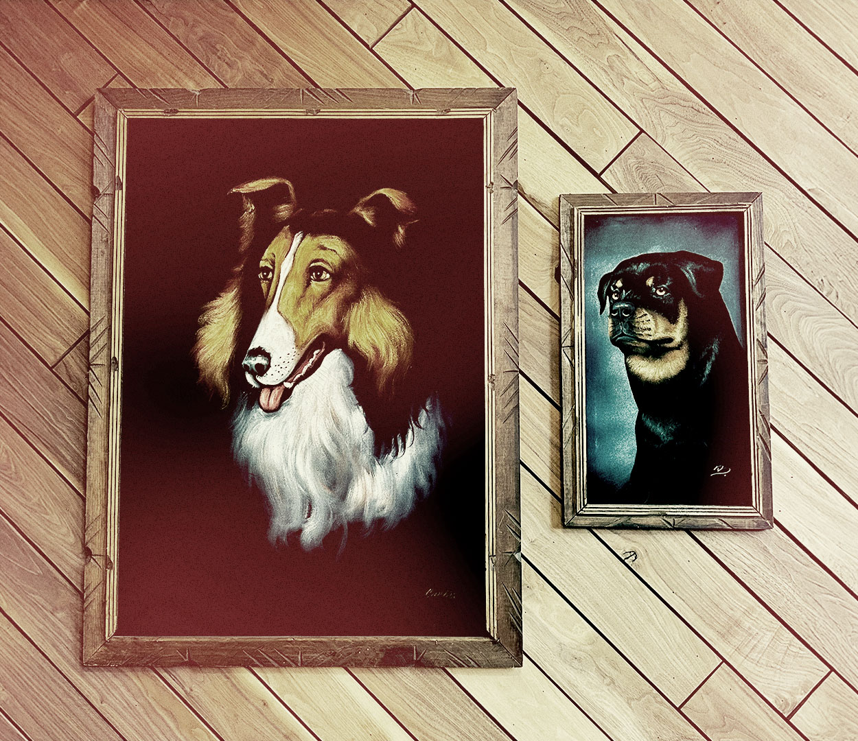 Urgent Care - Urban Animal