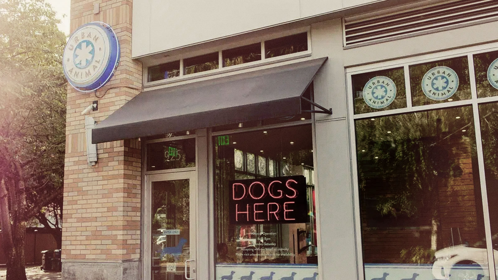 Urban Animal Featured in Vet Advantage